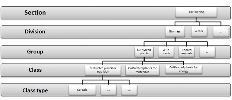 Structure of CICES