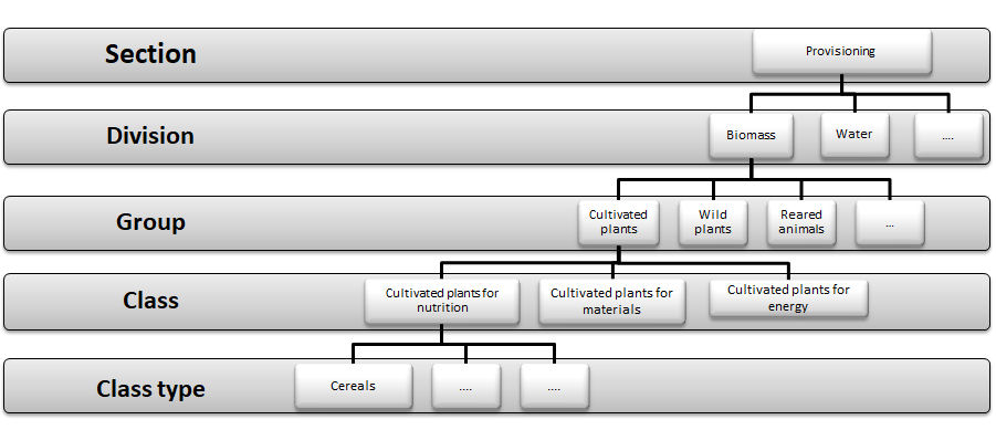 Structure of CICES